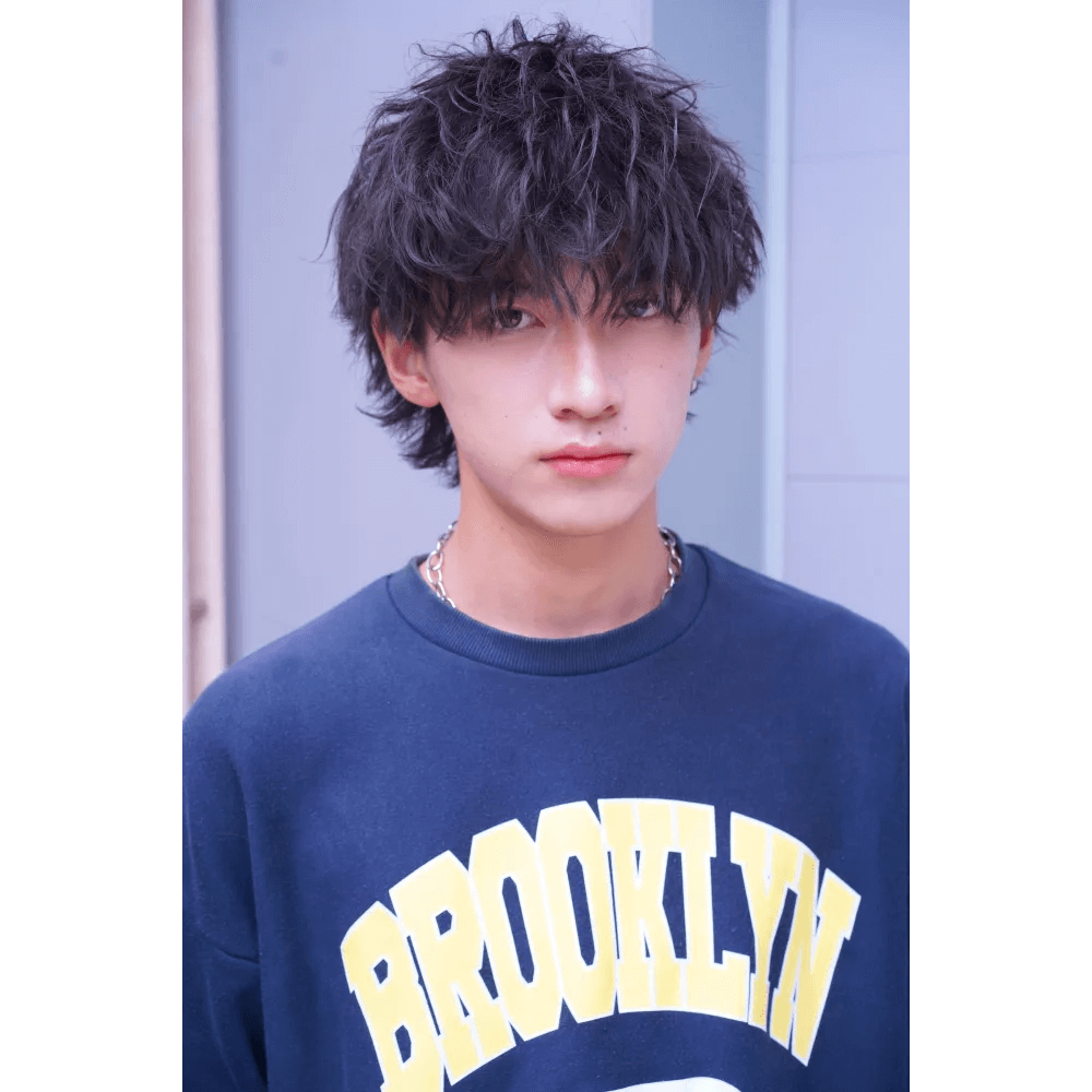 Best 12 Wolf Cut Perm Men Hairstyles Taper Haircuts