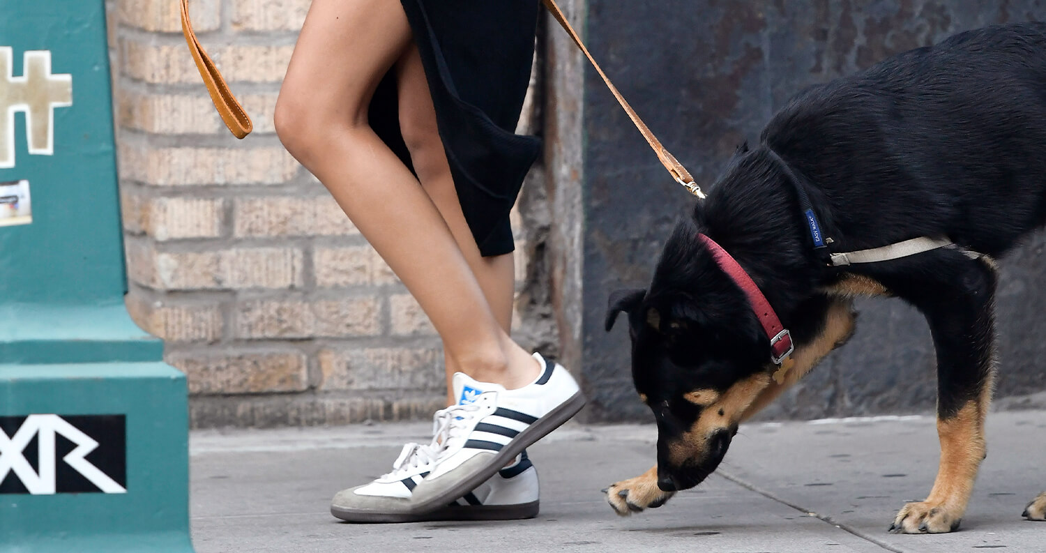 アディダス「サンバ」と「それ以外」の人気5モデルの違いとは？ | メンズファッションメディア OTOKOMAE / 男前研究所